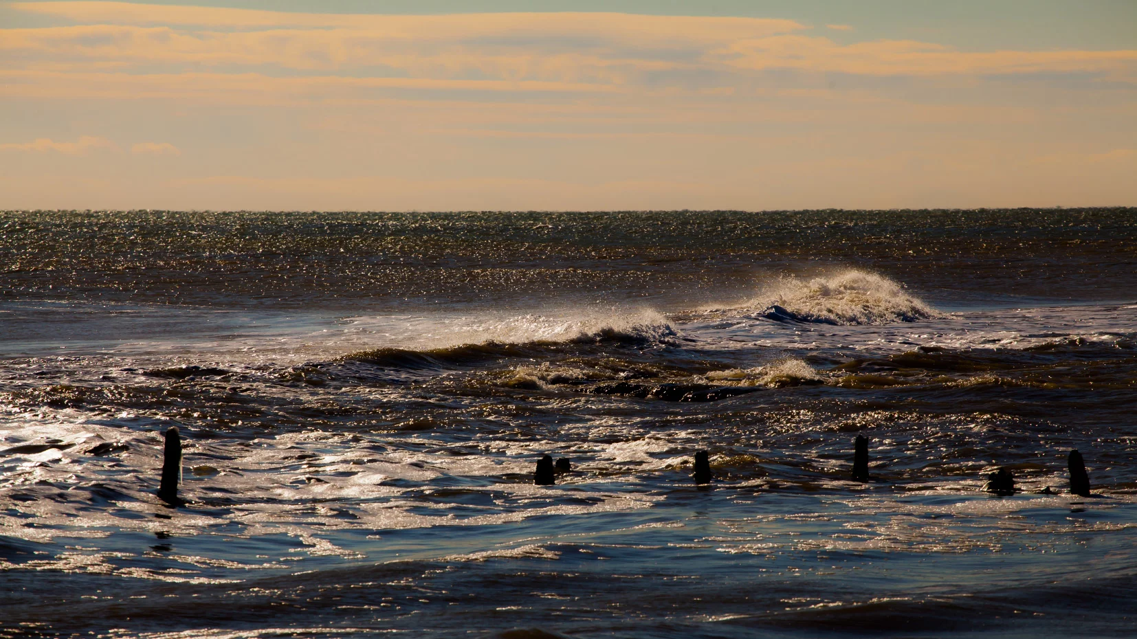 The Black Sea in Peril: The Echoes of War Ripple Beyond Borders | BIRD